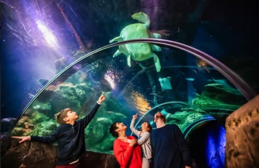 London SEA LIFE Entry Ticket | Aquarium Tickets South Bank